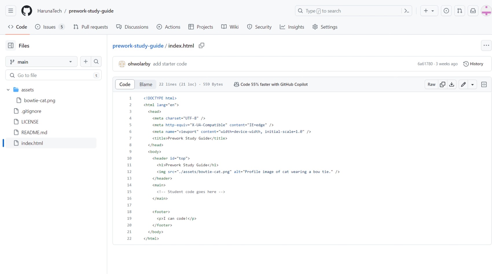 Haruna Bootstrap-portfolio